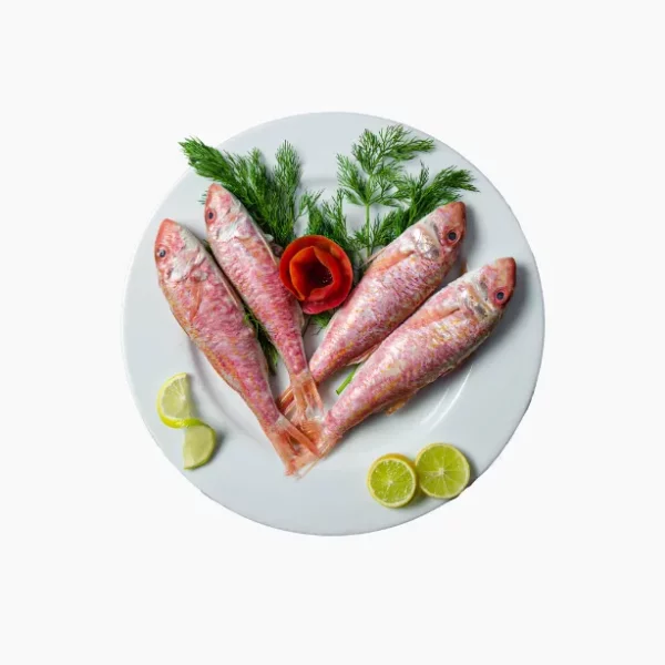 Barboni Fish - Elrayes Ibn Hamido